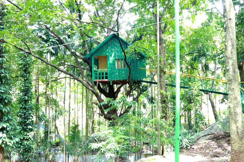 Tree Top Resort - Mannarkad