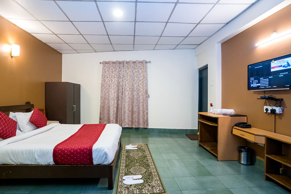 Sparrow Juniper Tree - Gangtok